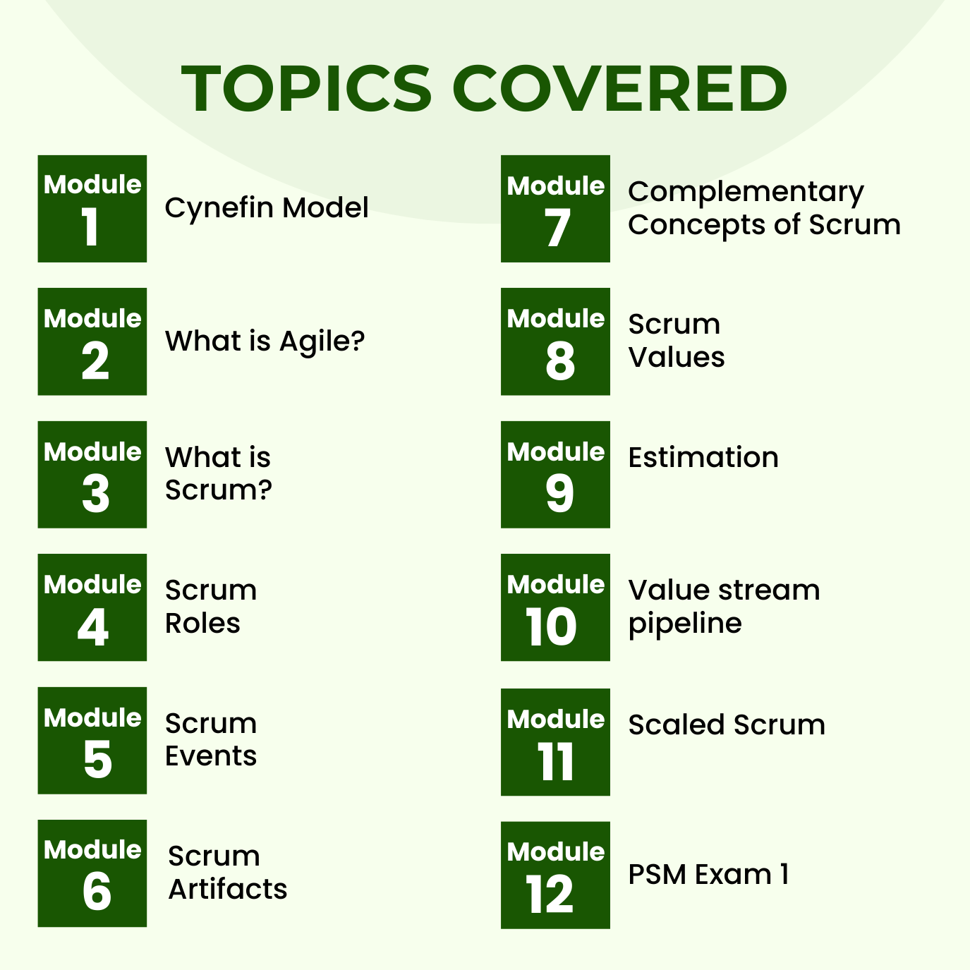 Scrum Master Professional Prep Course (PSM -1) Self Paced eLearning Co & MindCypress